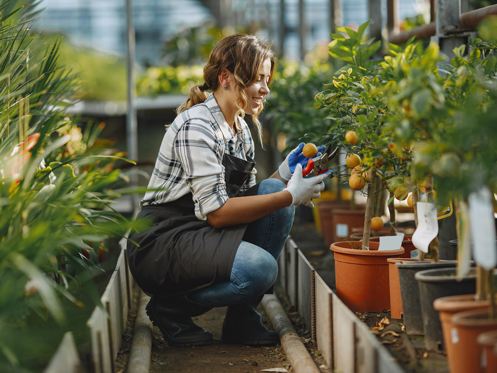 Kassandro Kassensystem kaufen: Flexibel für alle Branchen